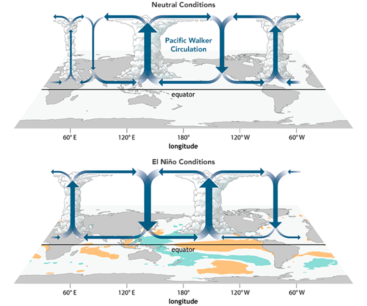 Super El Nino developing? What it could mean for Minnesota's weather ...