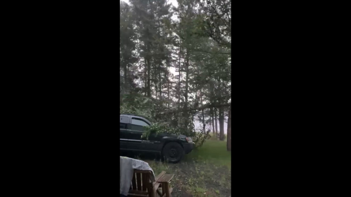 Watch: Tree falls on meteorologist Sven Sundgaard's car; huge crack of ...