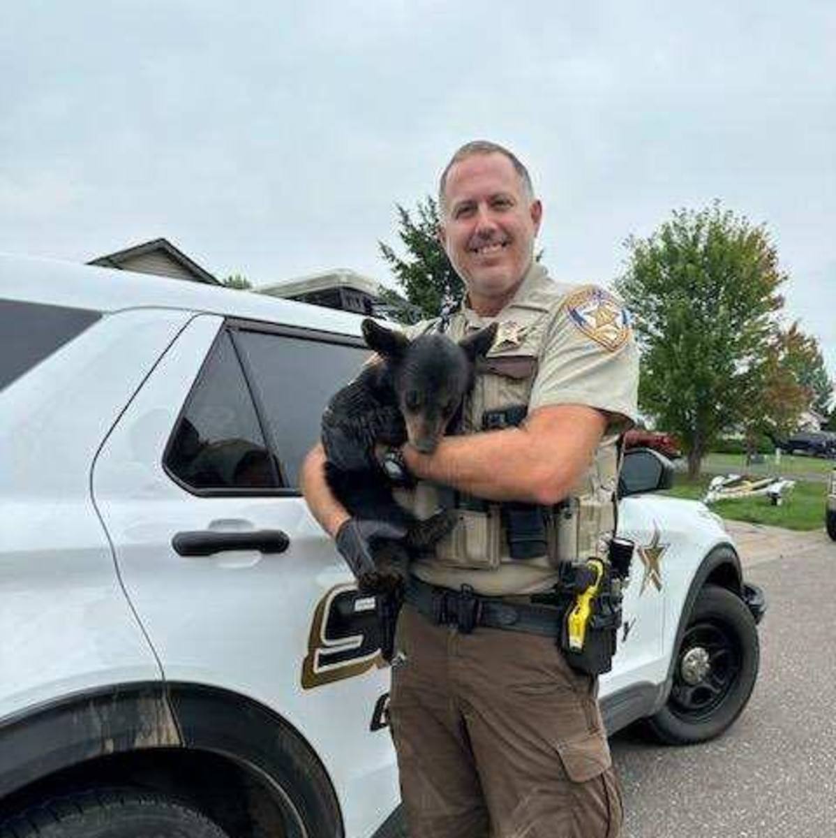 Bear cub suffering without mama rescued in Minnesota - Bring Me The News