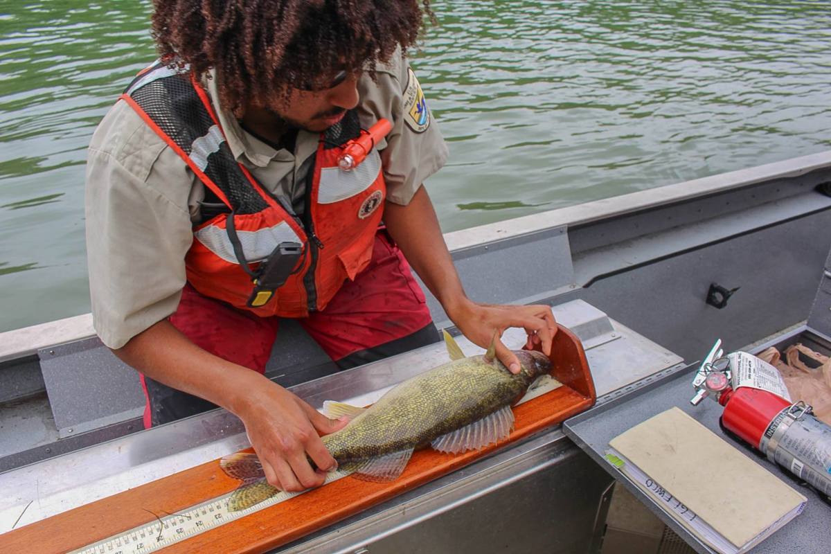 Study reveals what color lures walleye prefer in different water ...