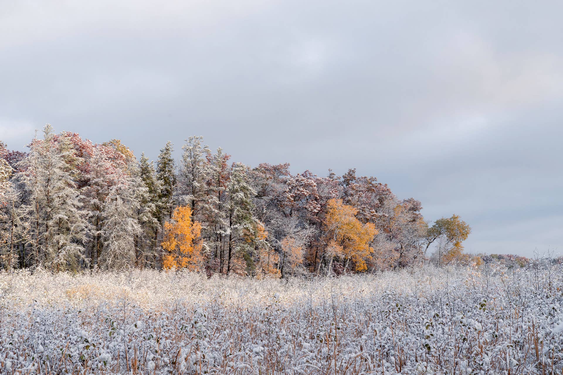 The Farmers' Almanac believes Minnesota's fall weather will be frigid ...