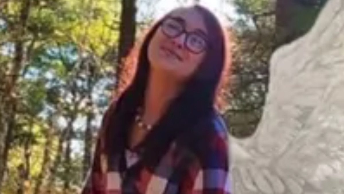 Duluth man pleads guilty to killing ex who had no-contact order against him - Bring Me The News