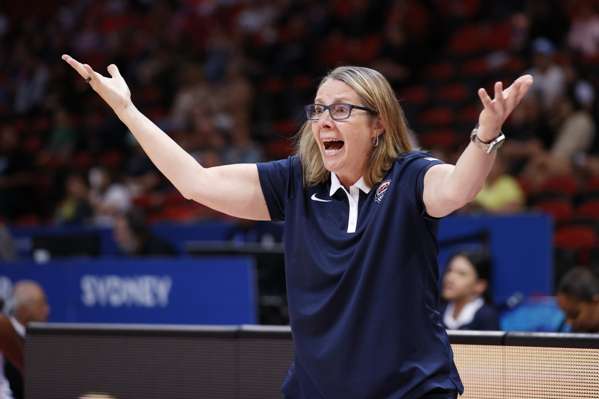 Reports: Lynx Napheesa Collier expected in Olympic squad, Caitlin Clark ...