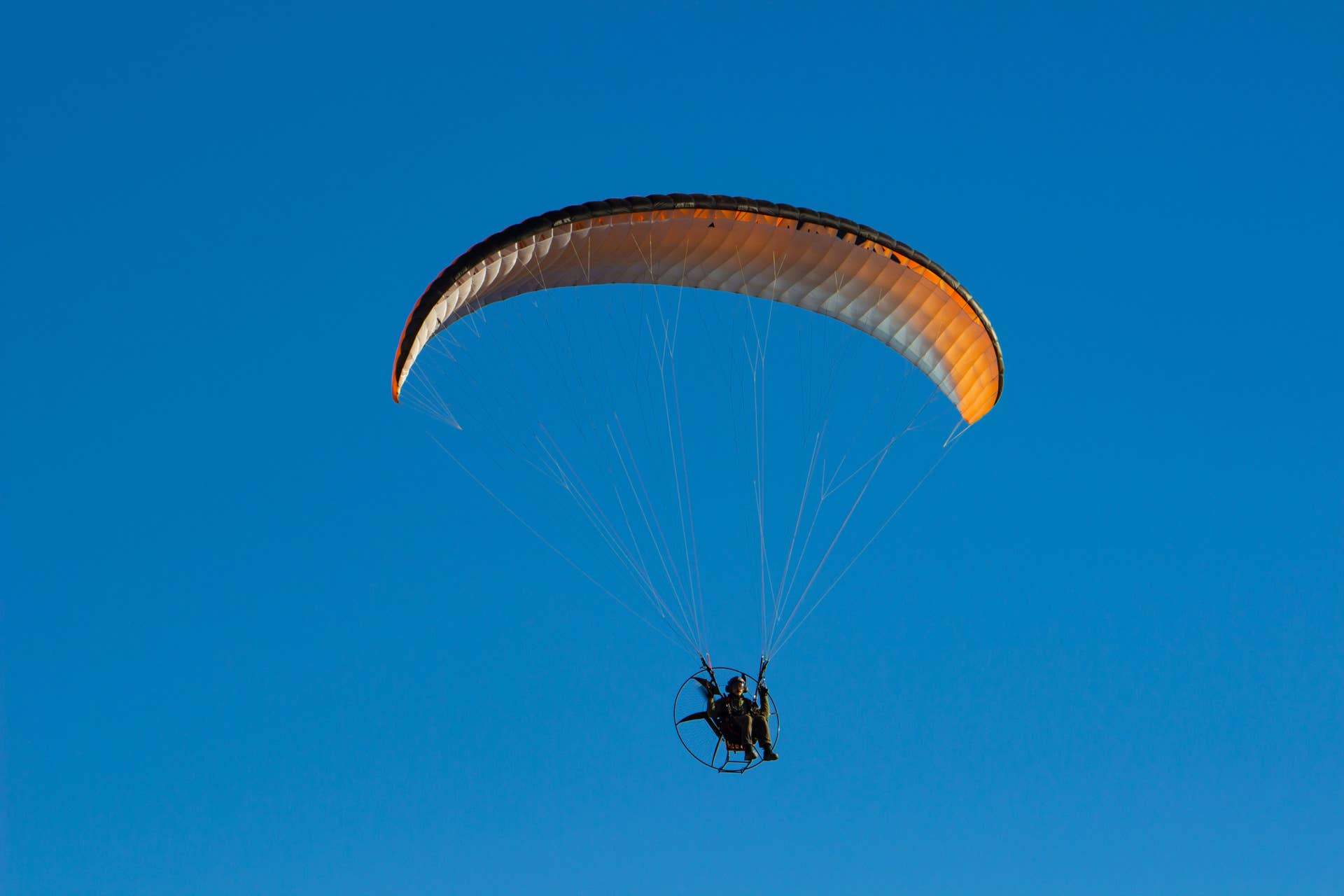 Paraglider, 81, dies after hitting tree and falling 50 feet south of ...