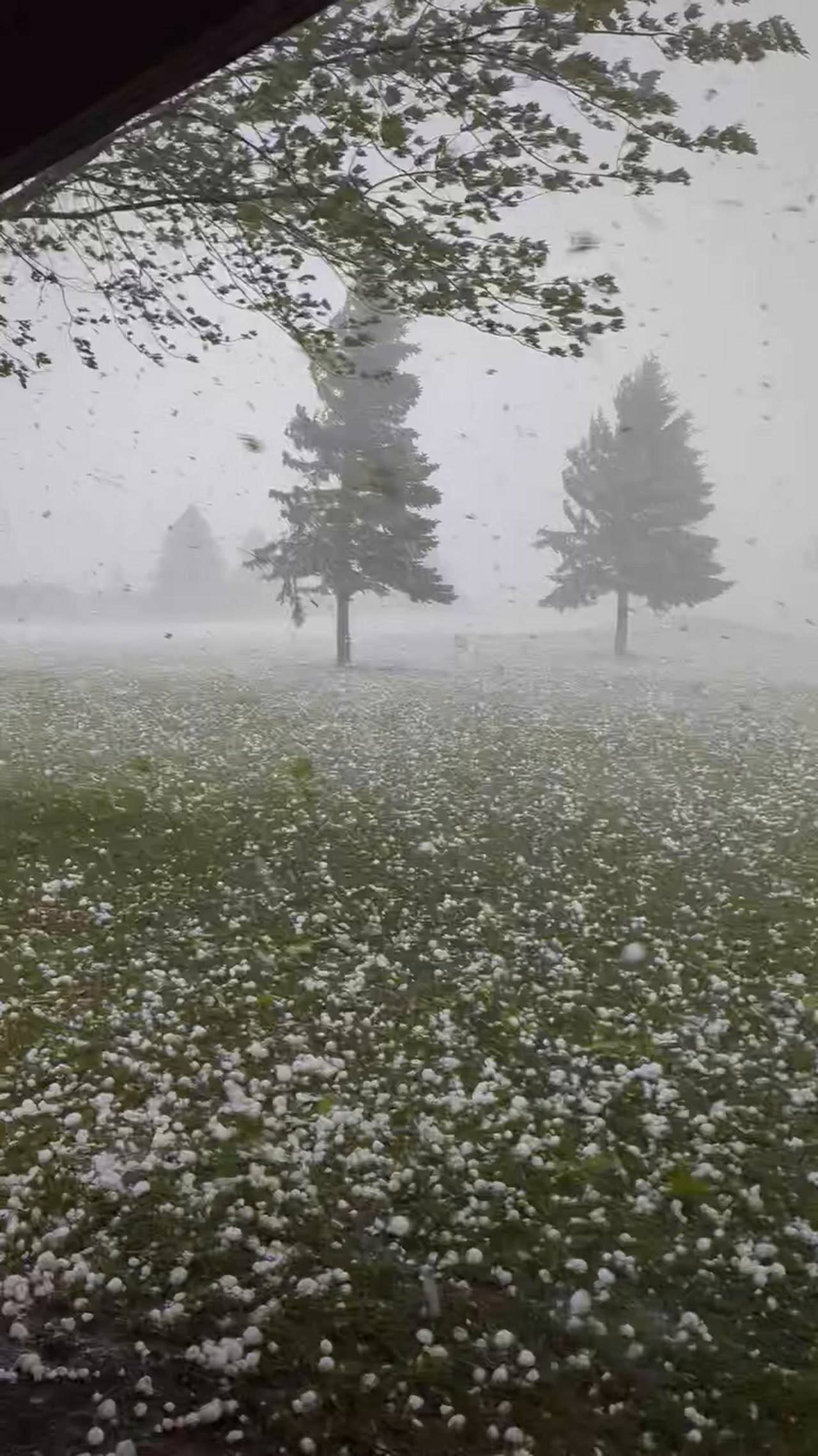 Golfers take shelter during crazy hail storm in Minnesota - Bring Me ...