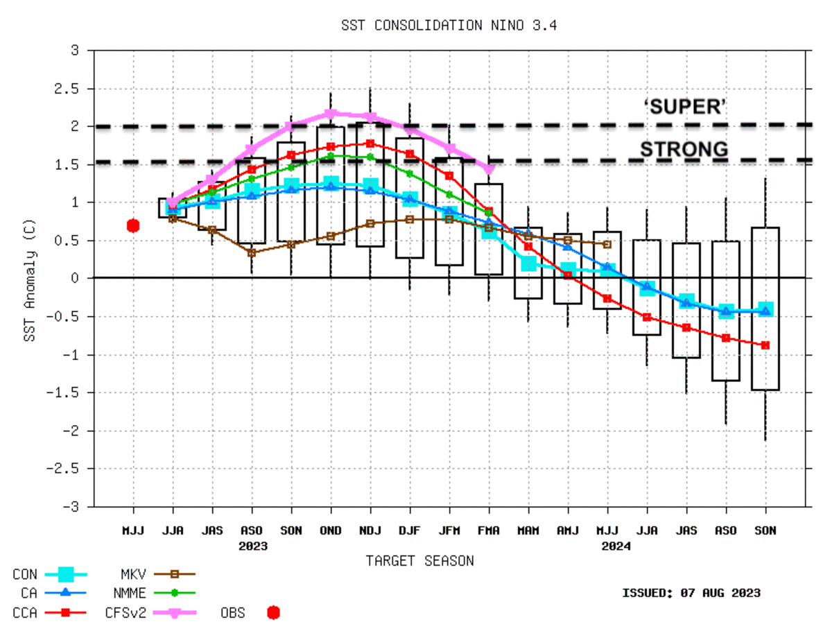 Strong El Nino Is Here What Does It Mean For Minnesota S Upcoming