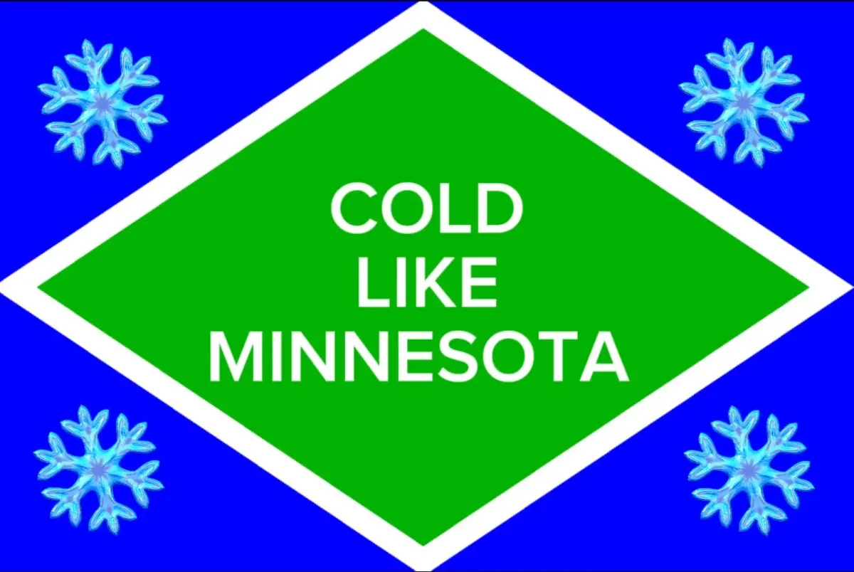 The most incredible citizen submissions for Minnesota's new state flag ...
