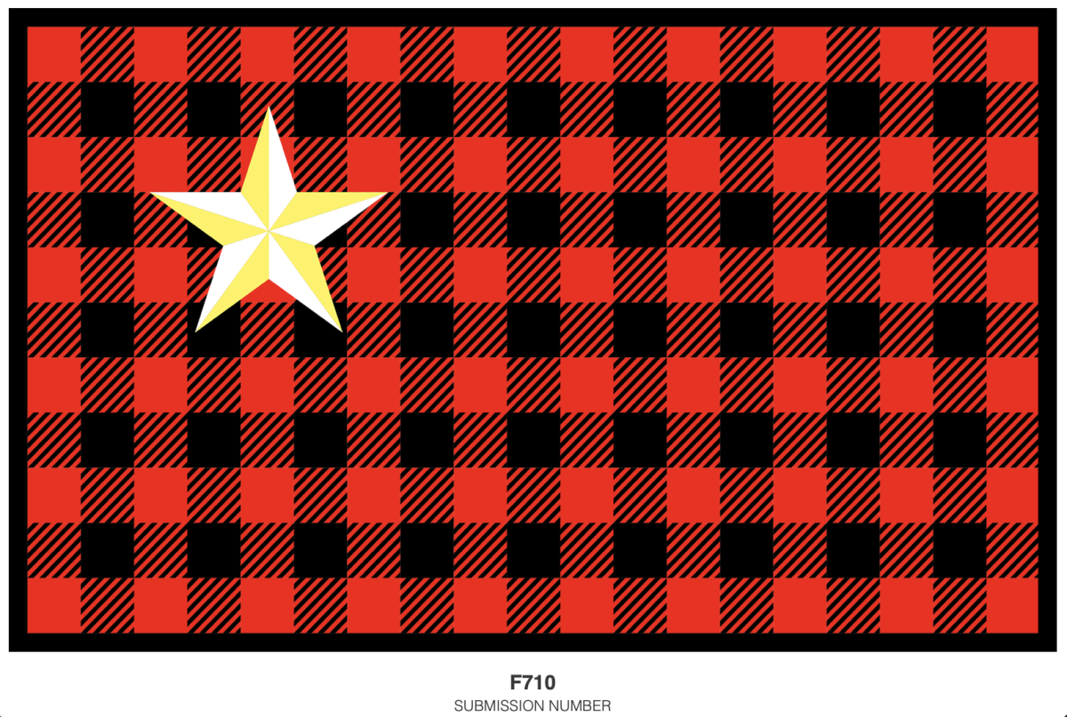 The most incredible citizen submissions for Minnesota's new state flag ...