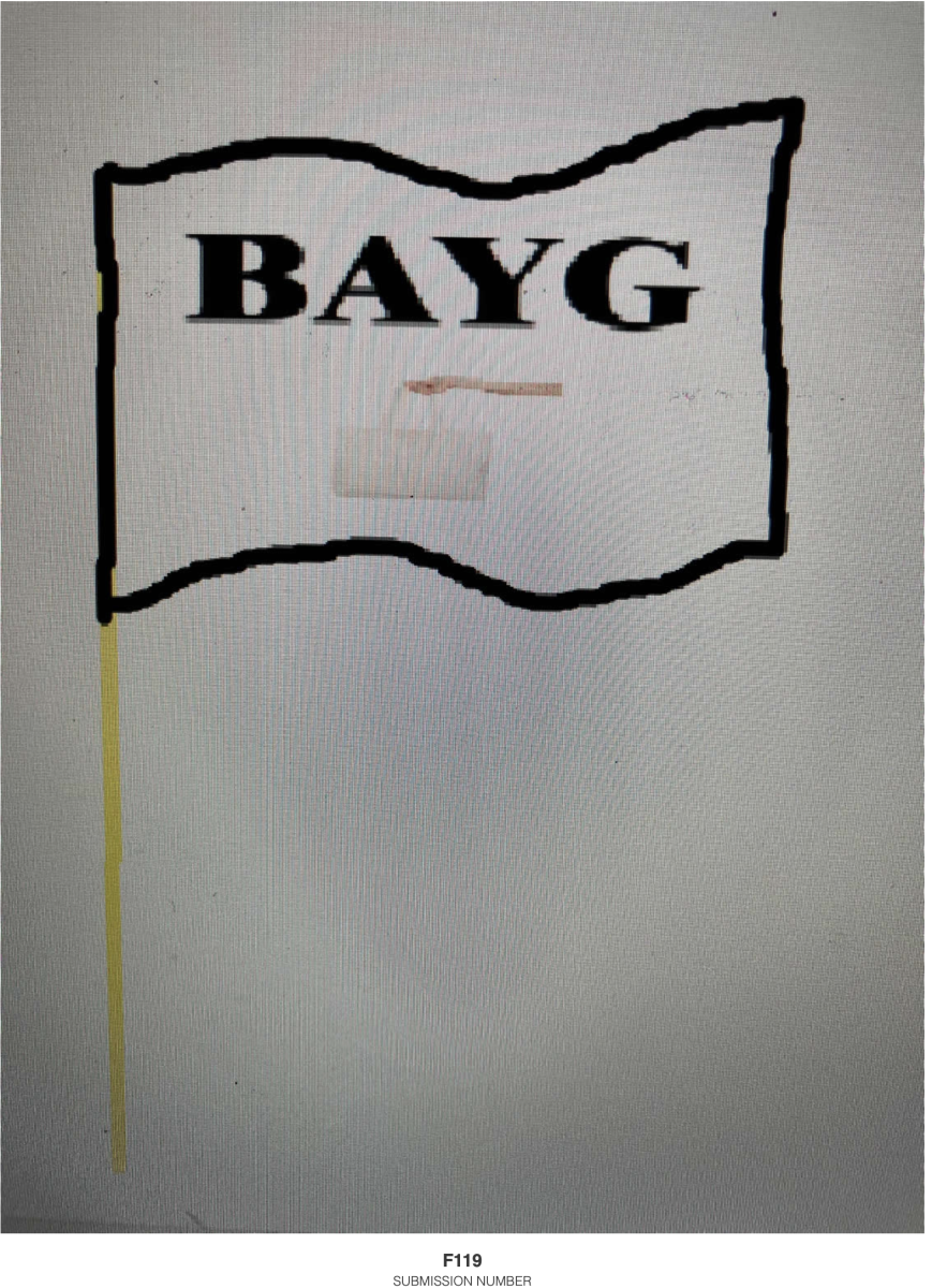 The most incredible citizen submissions for Minnesota's new state flag ...