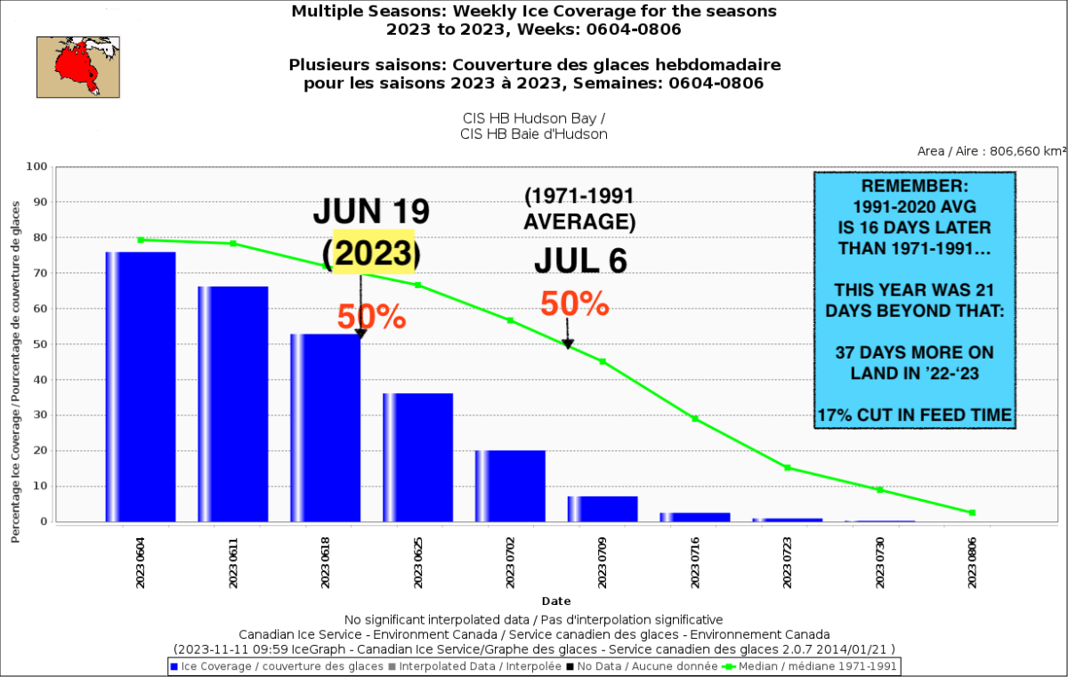 Sven Sundgaard: Every day matters for polar bears amid sea ice crisis ...