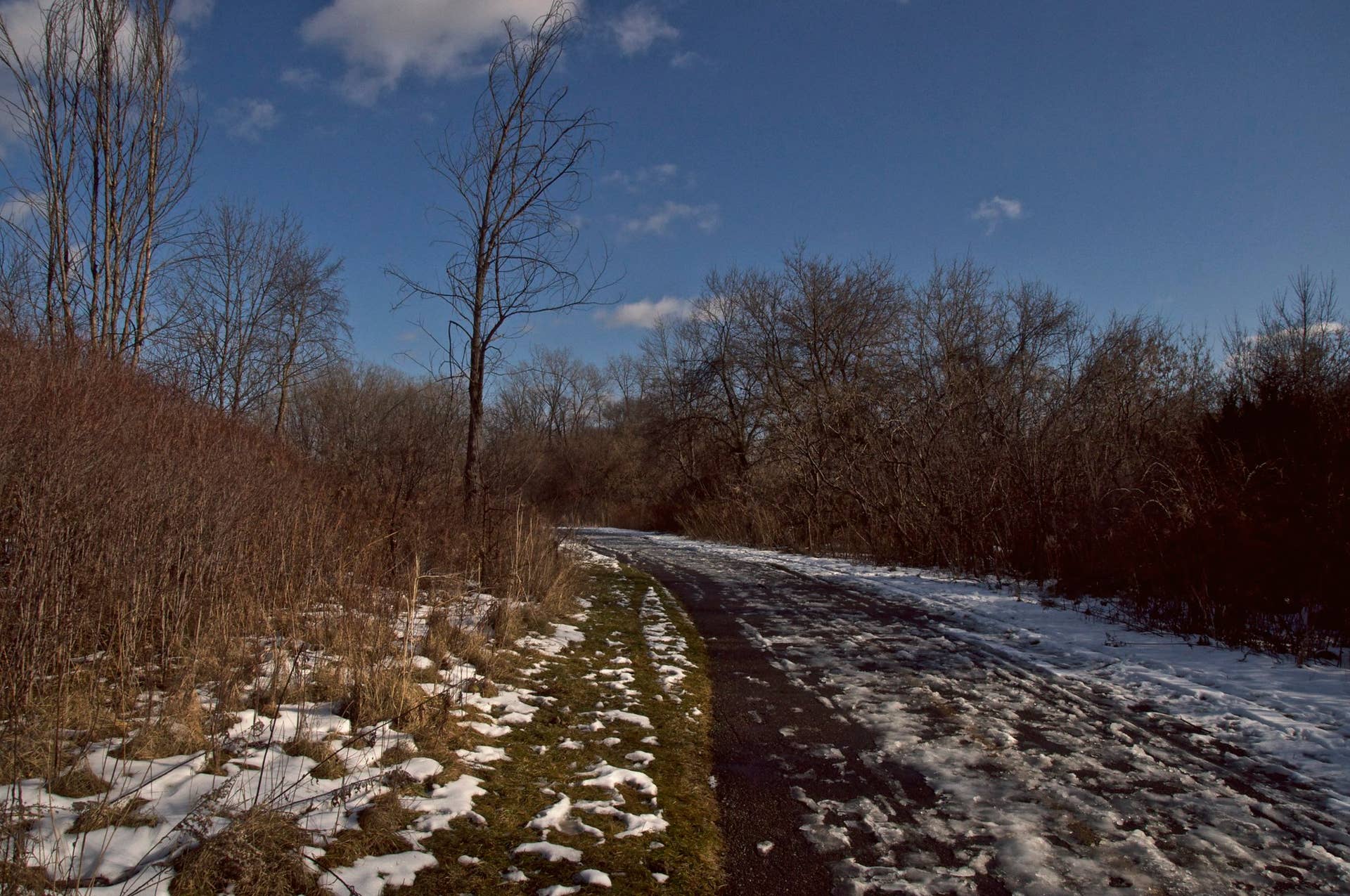 2024 was likely the hottest year on record in Minnesota - Bring Me The News