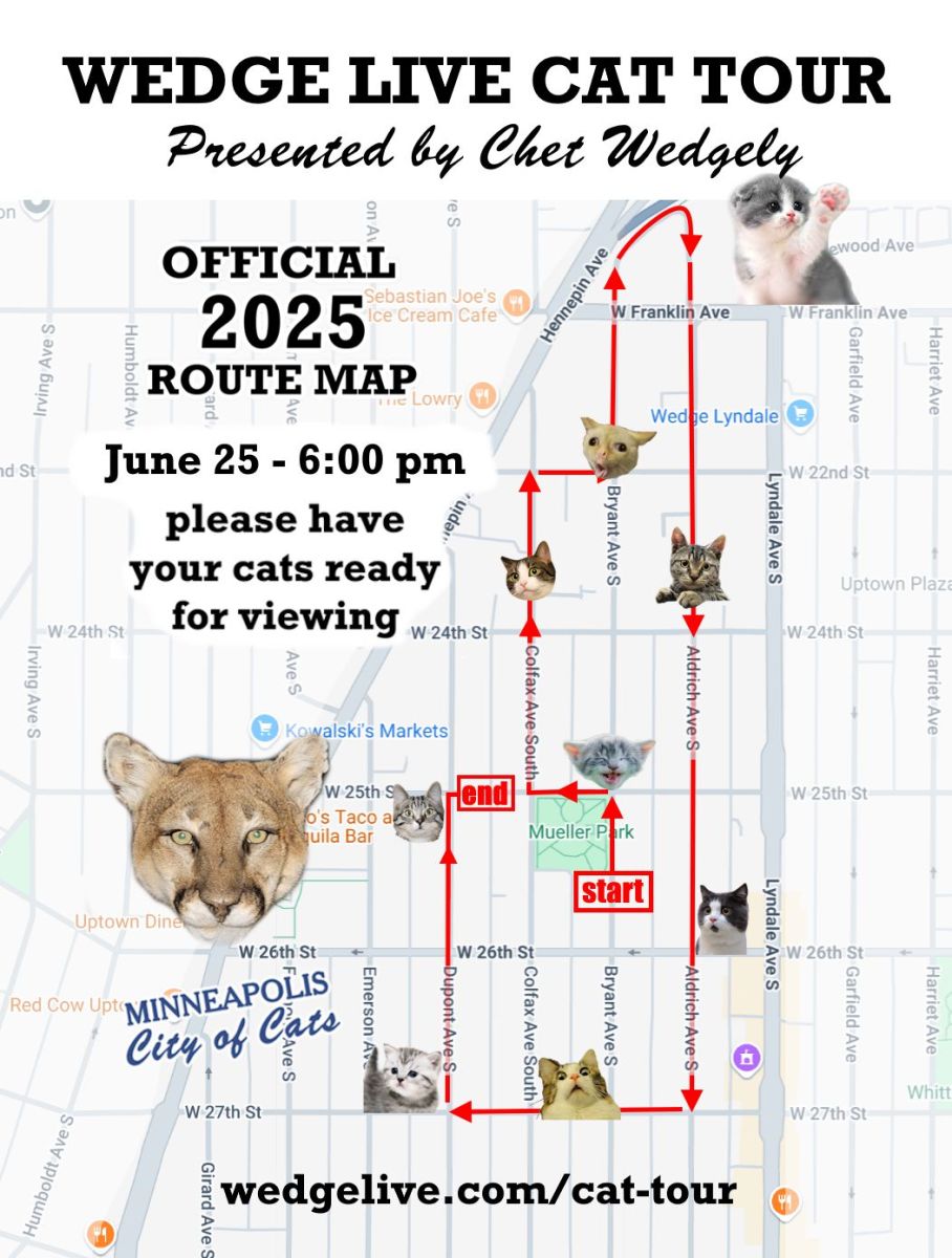 Minneapolis neighborhood cat tour returns next week - Bring Me The News