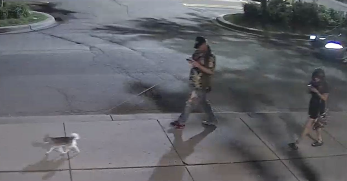 St. Anthony police search for suspect who fired gun in Cub Foods ...