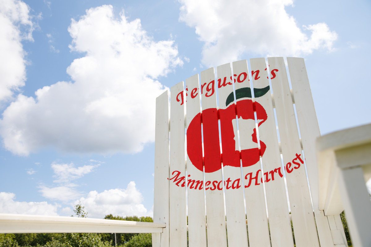 Ferguson's Minnesota Harvest opens for the season with new attractions ...