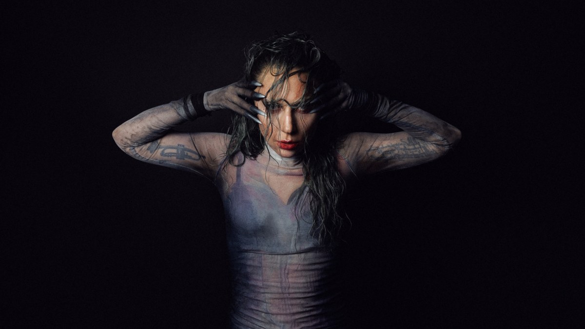 Just announced Twin Cities concerts: Lady Gaga, Charlie Parr residency, Steve Martin & Martin ...