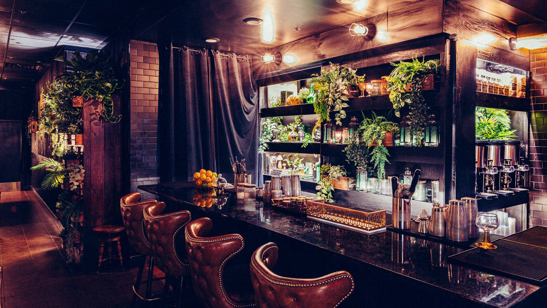 Curiouser Coffee opens second 'Alice in Wonderland'-inspired cafe and ...