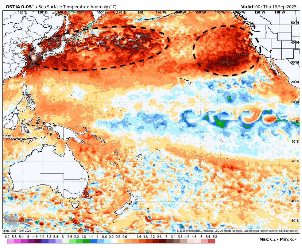 Pacific 'heat blob' could shape Minnesota’s winter, but don’t panic yet ...