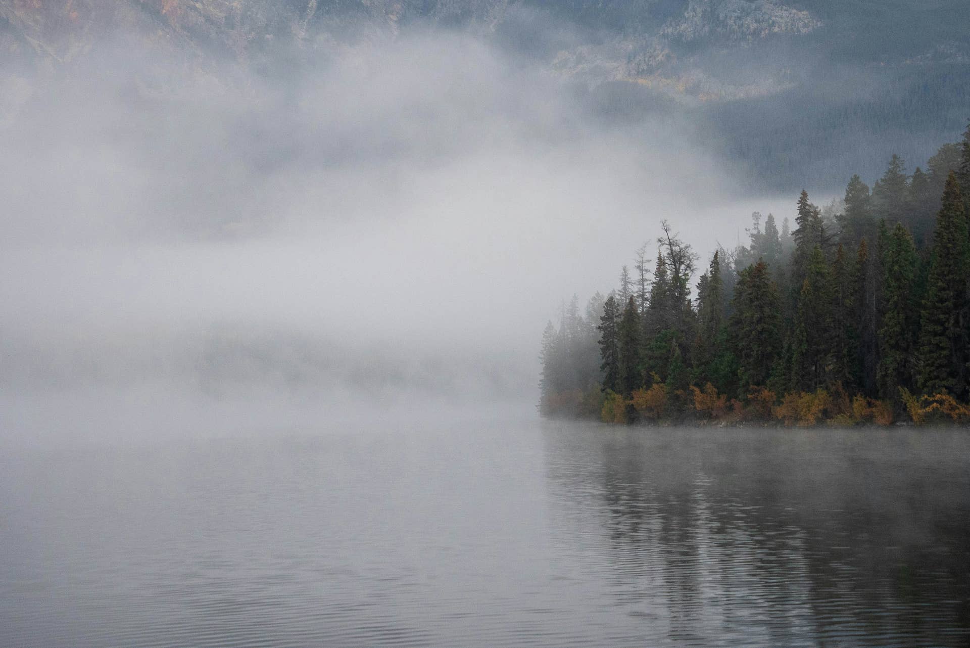 Why has it been so foggy in Minnesota this September? - Bring Me The News