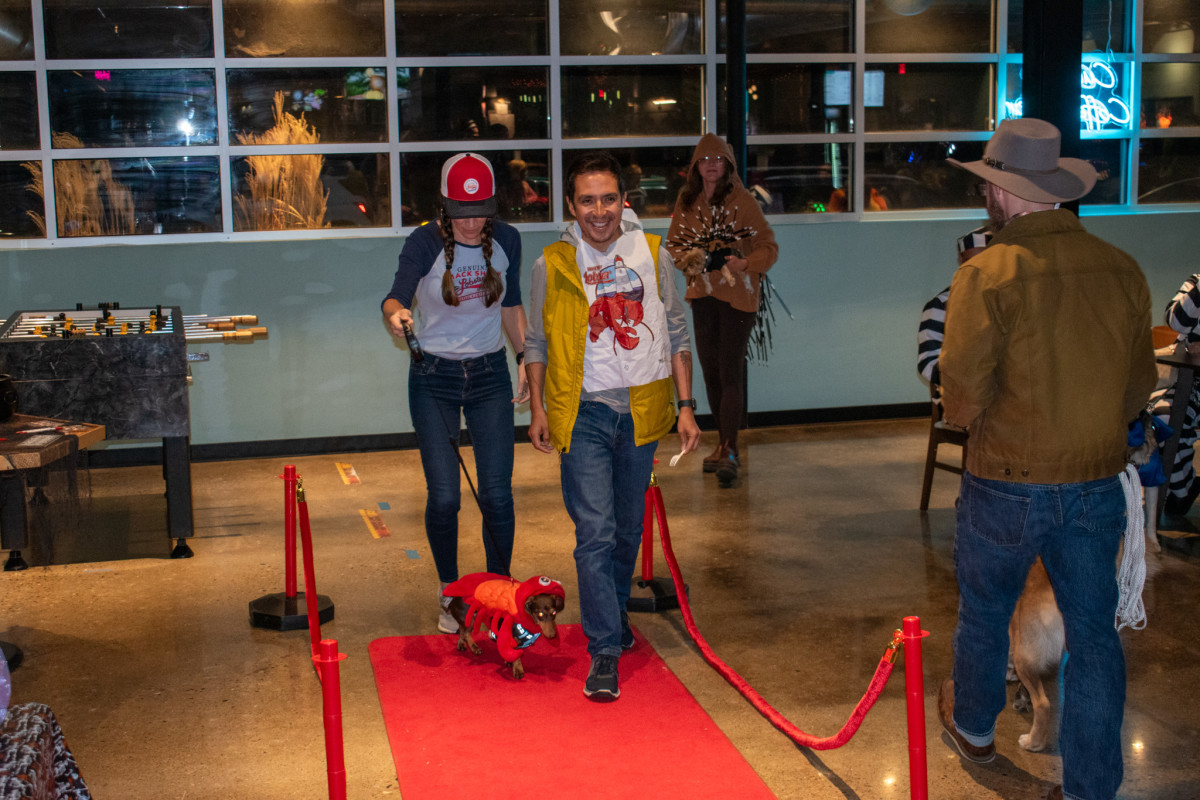 Raise the woof: 4 places hosting costume contests for dogs in the Twin ...