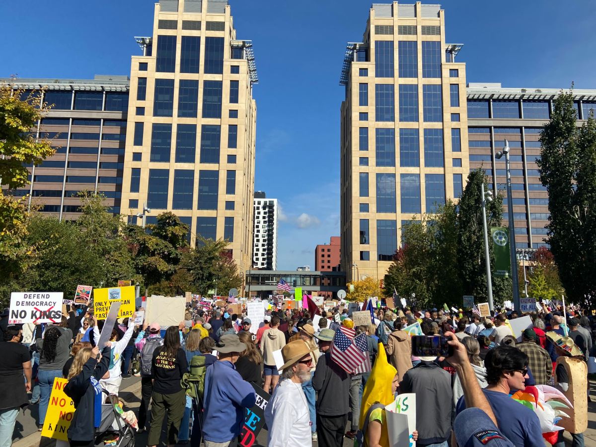 Thousands take part in 'No Kings' protests across Minnesota - Bring Me ...