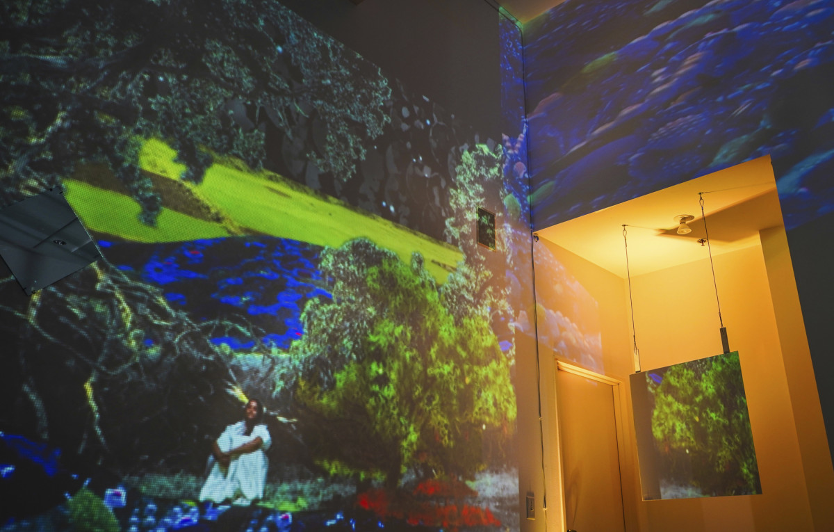 Immersive, 'enchanting nighttime realm' exhibition from Roshan Ganu ...