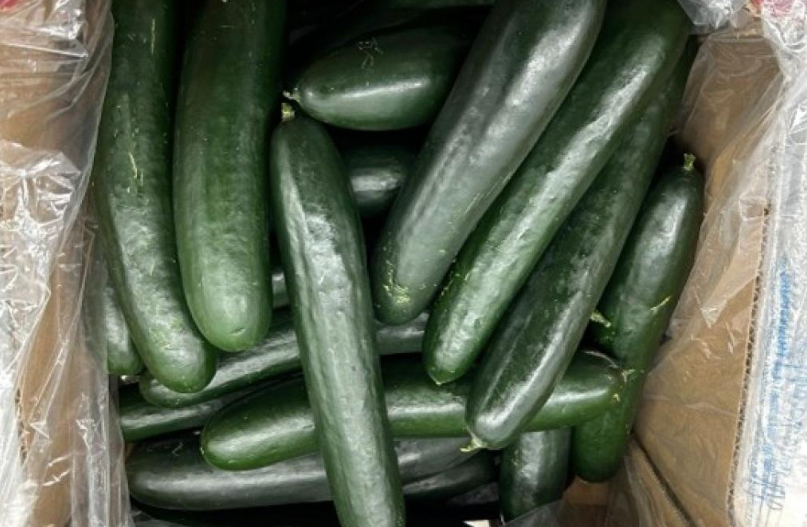 Cucumbers recalled in Minnesota and other states due to salmonella ...