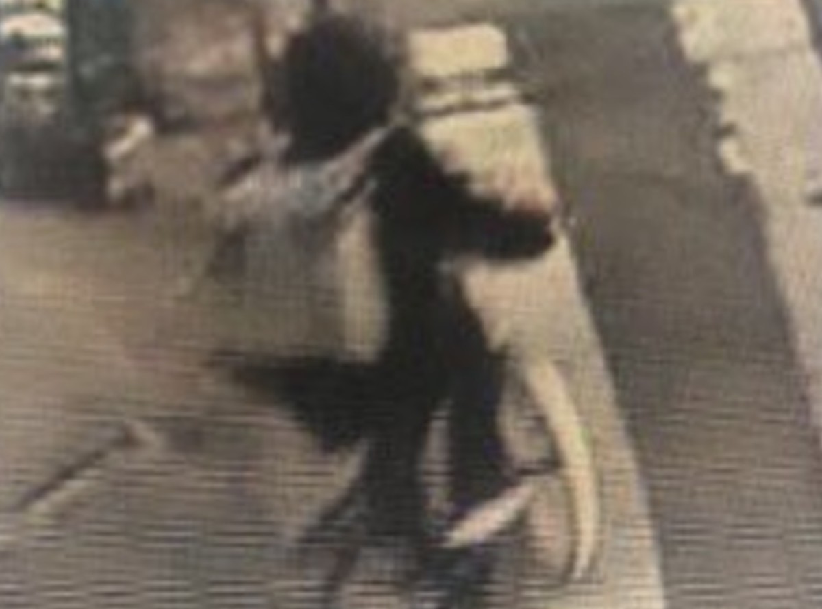 'Horrifying': Manhunt underway after fatal shooting of Brian Thompson ...