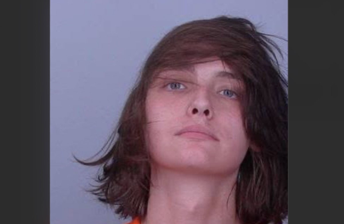 Montrose man fleeing police while high pleads guilty to causing fatal ...