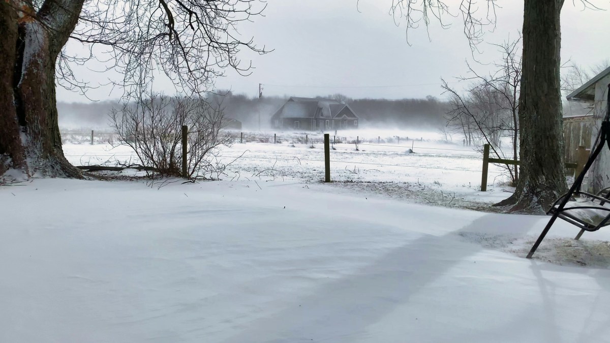 Wind advisory in Twin Cities with gusts of up to 50 mph possible ...