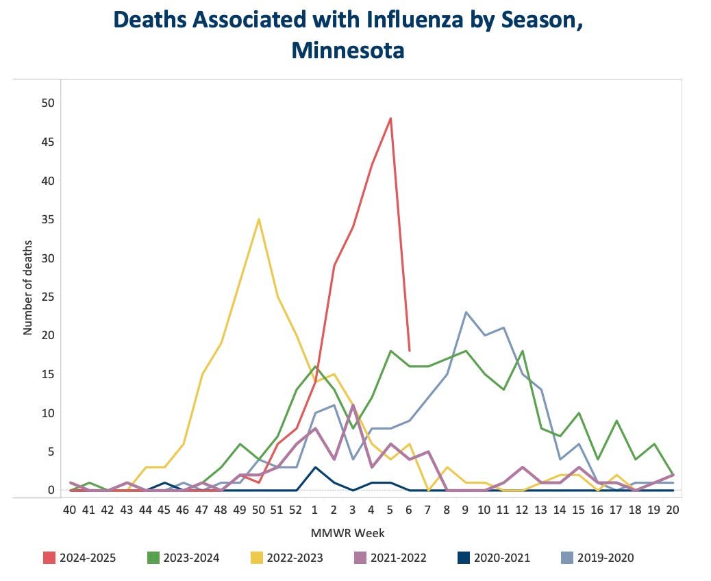 Tribute to Minneapolis woman, 31, who died from flu complications ...
