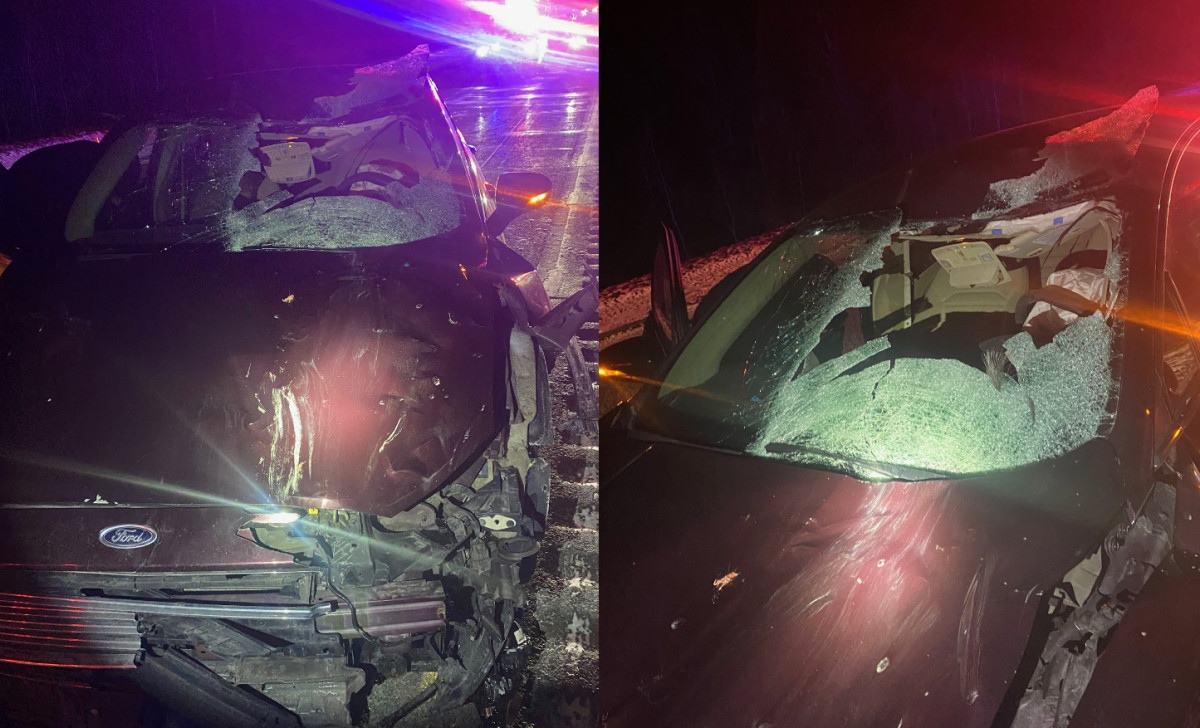 Moose killed, car destroyed in St. Louis County collision - Bring Me ...