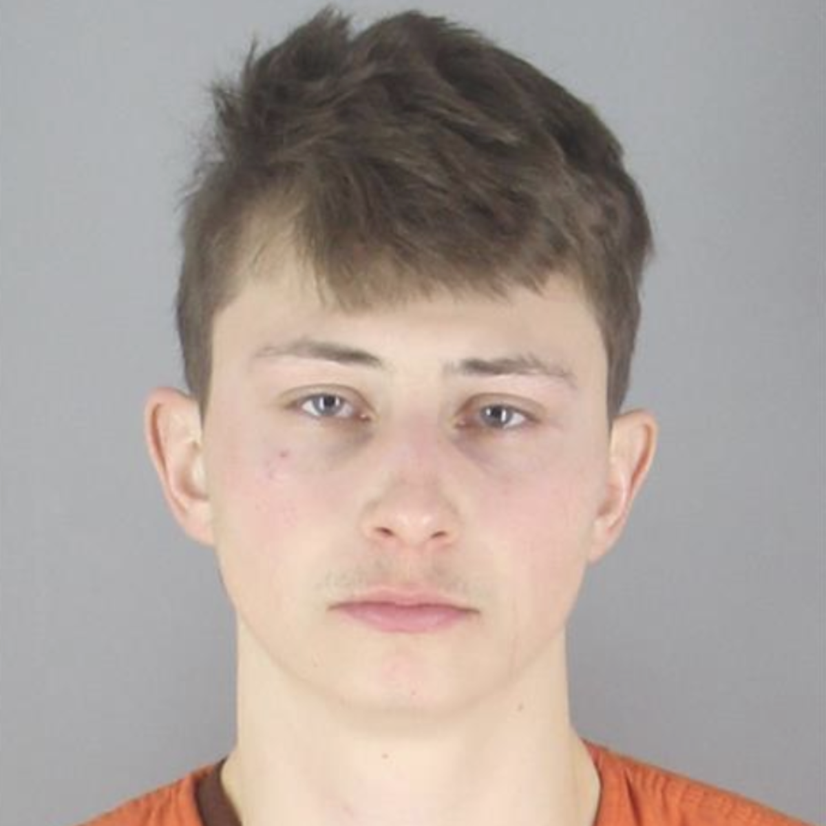 Alleged driver in crash that killed 11-year-old girl faces unrelated charges for fleeing ...