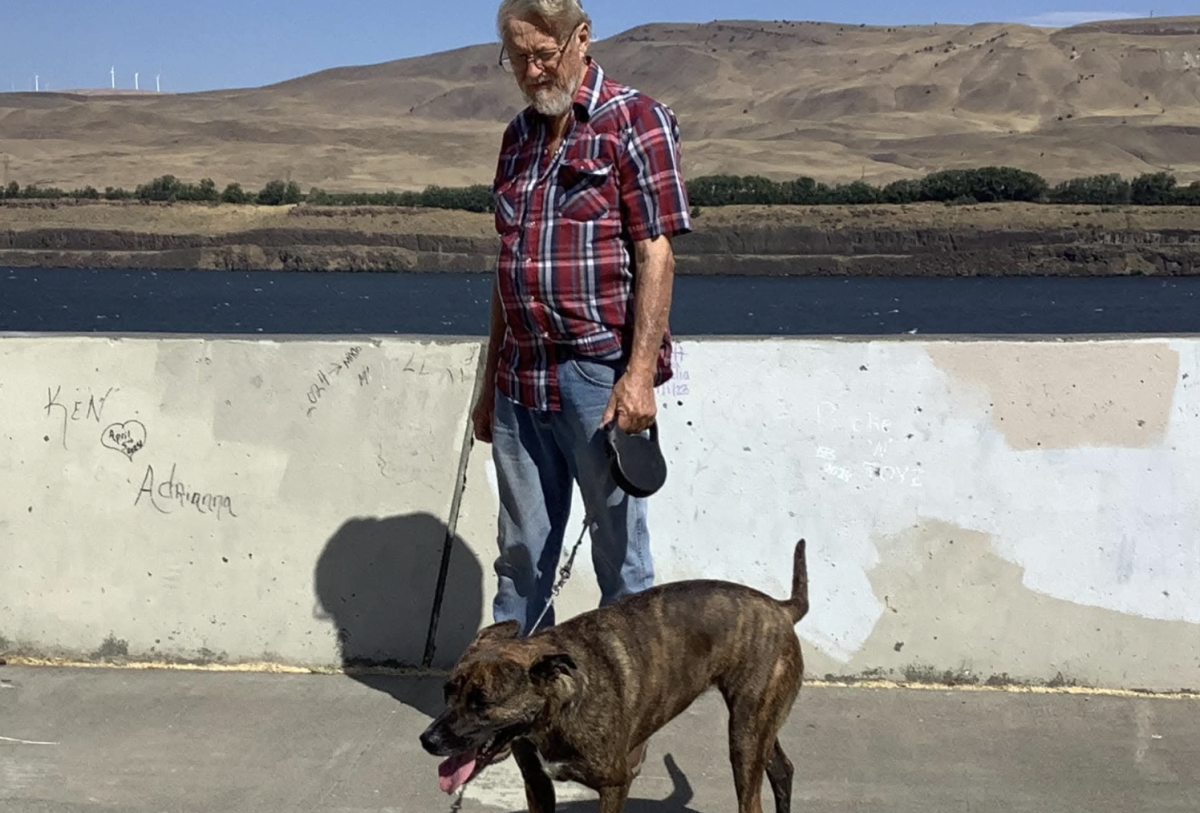 Man and his dog killed in rural Minnesota house fire - Bring Me The News