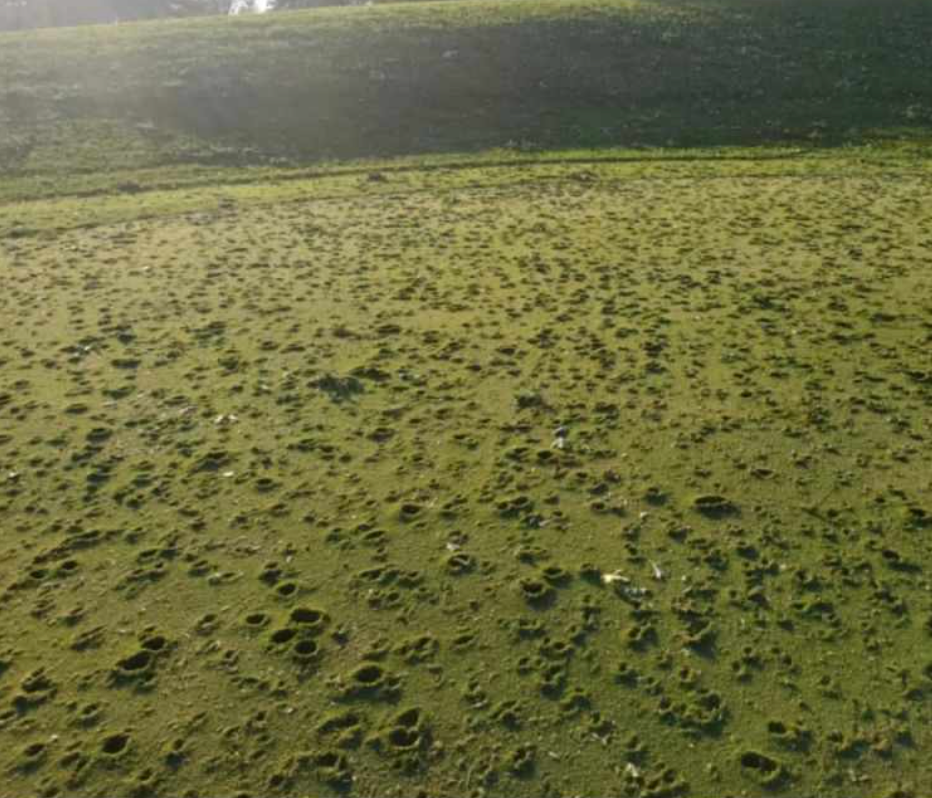 Massive hail obliterates greens at Minnesota golf course - Bring Me The ...