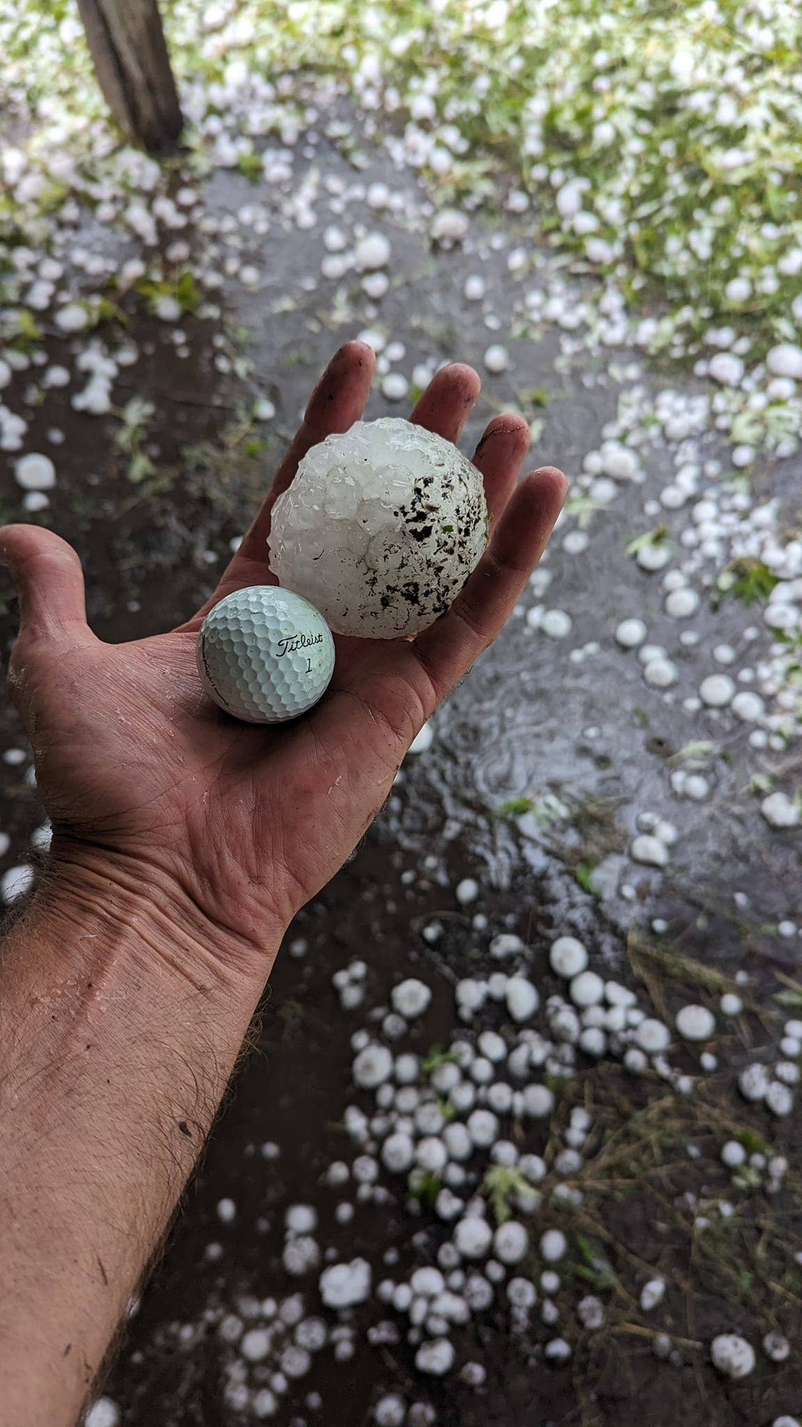 Massive hail obliterates greens at Minnesota golf course - Bring Me The ...