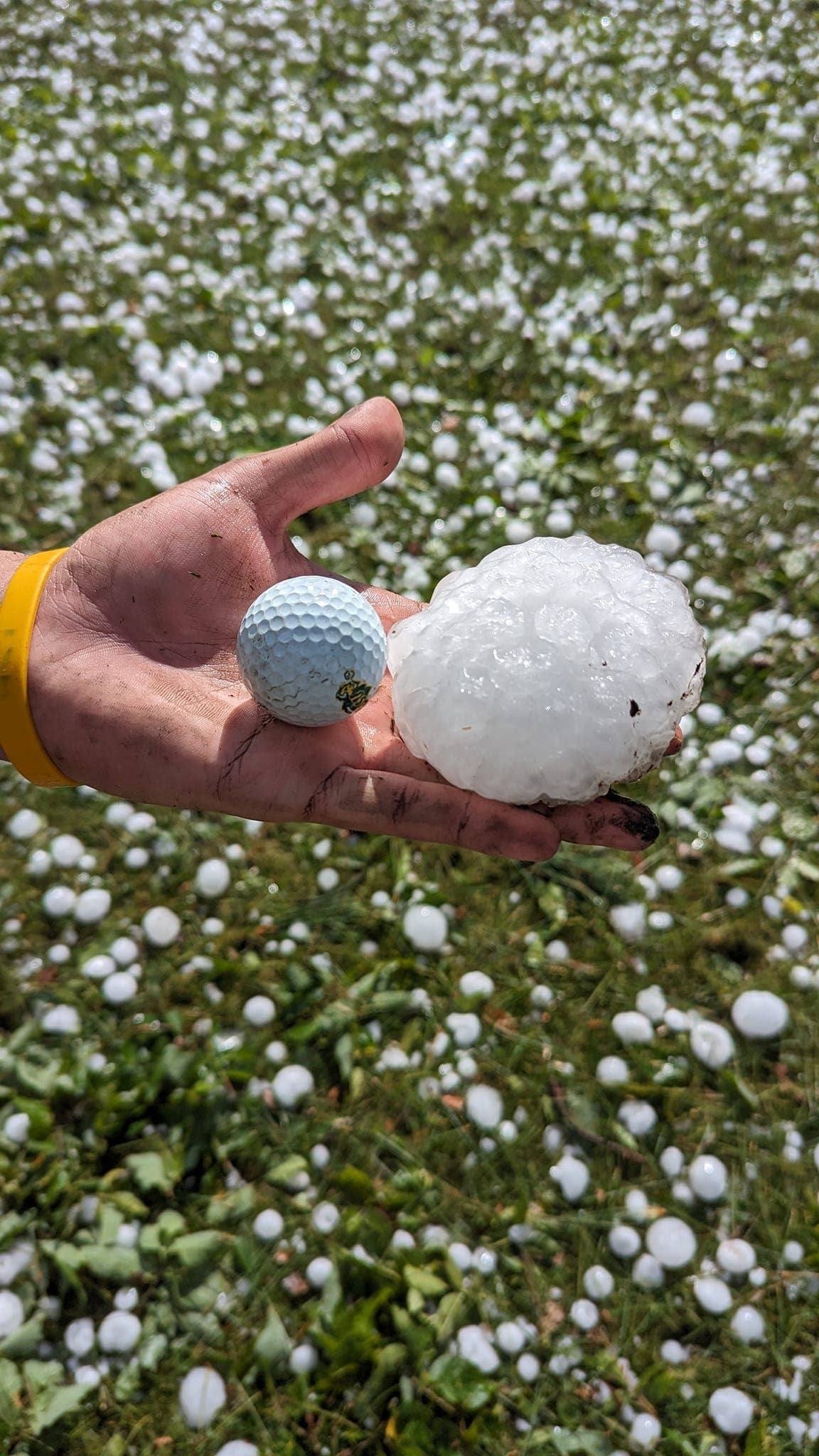 Massive hail obliterates greens at Minnesota golf course - Bring Me The ...