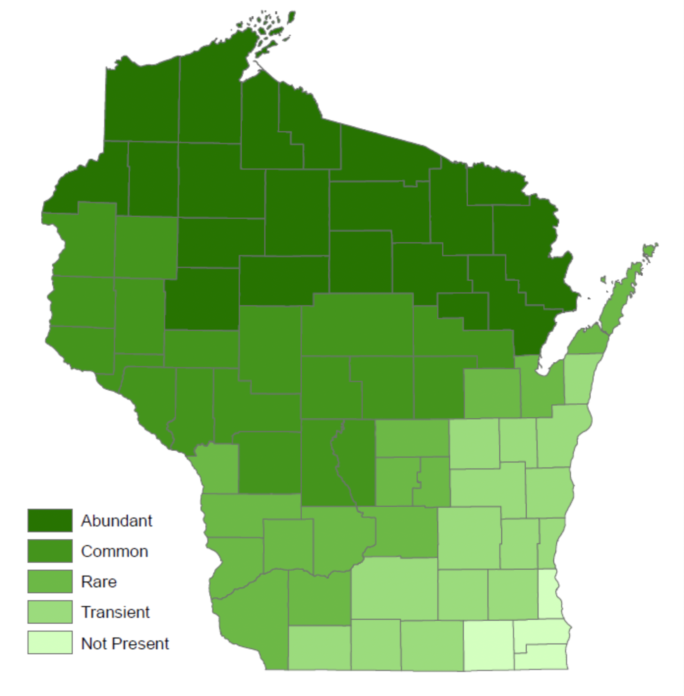 Woman's condition unknown after bear attack in western Wisconsin ...