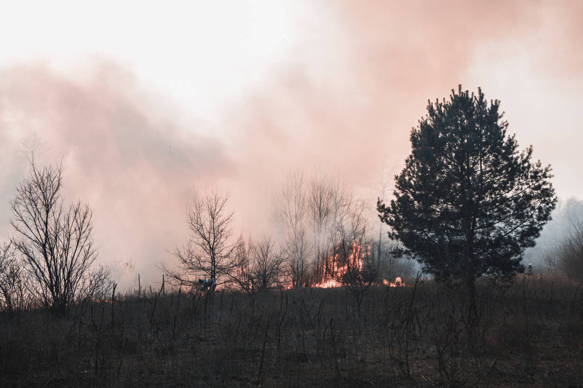 Dozens of wildfires reported across Minnesota amid continued dry ...