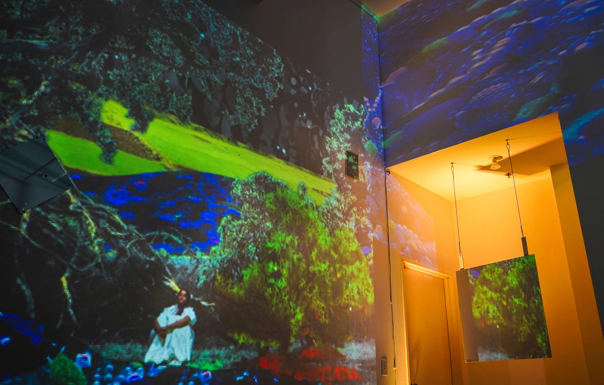 Immersive, 'enchanting nighttime realm' exhibition from Roshan Ganu ...